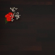 Worktop Sample | Wooden Worktops | House of Worktops